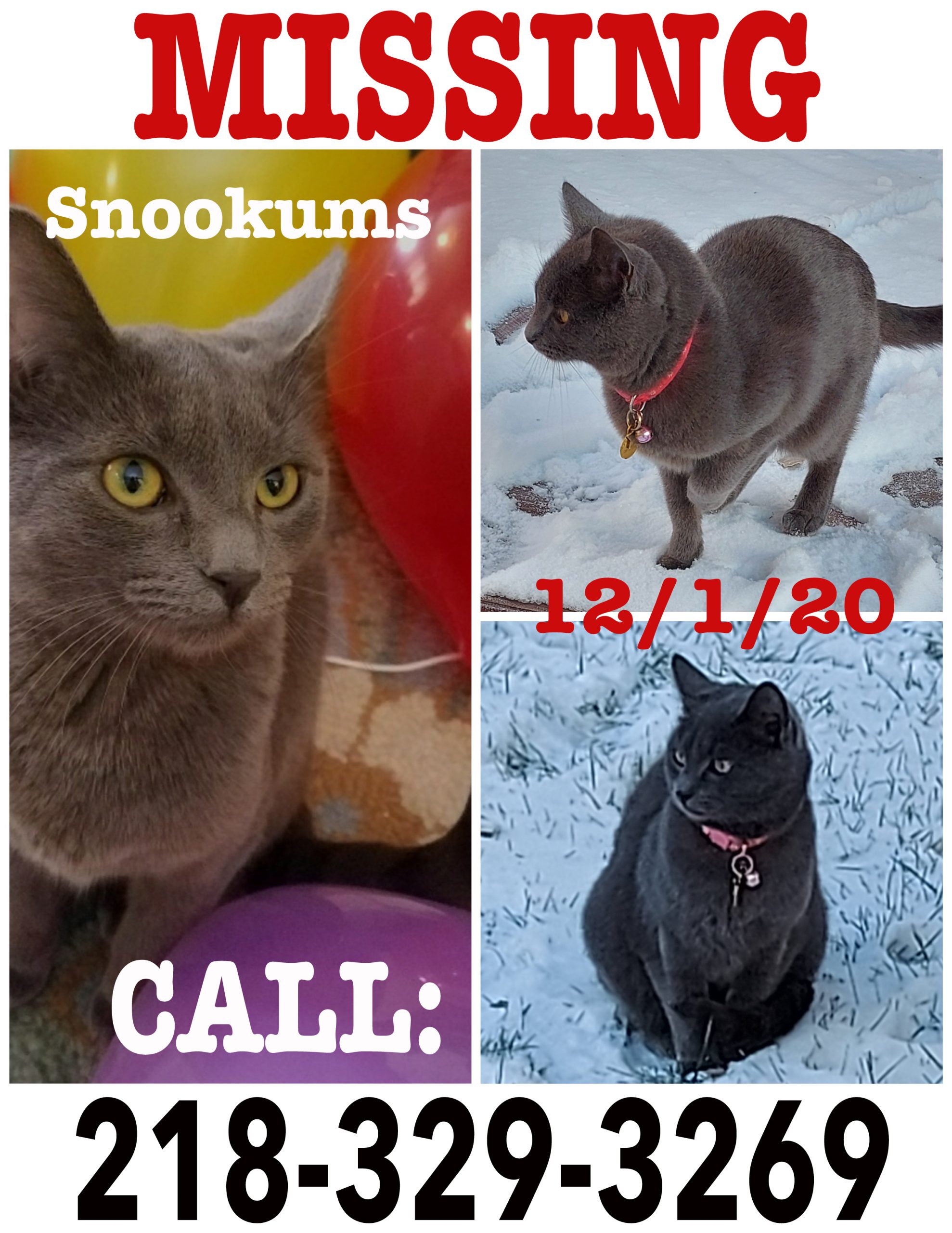 Lost Cat | The Mighty 790 KFGO | KFGO