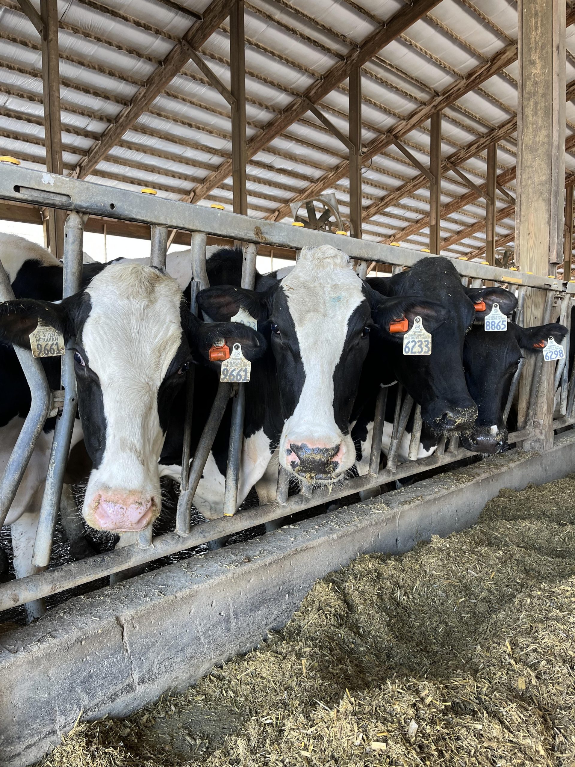 A look inside the Carrington, North Dakota creamery that expanded to ...